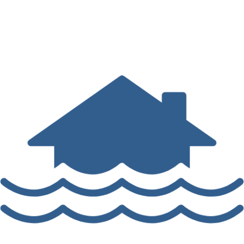 Home - Shop Around Insurance